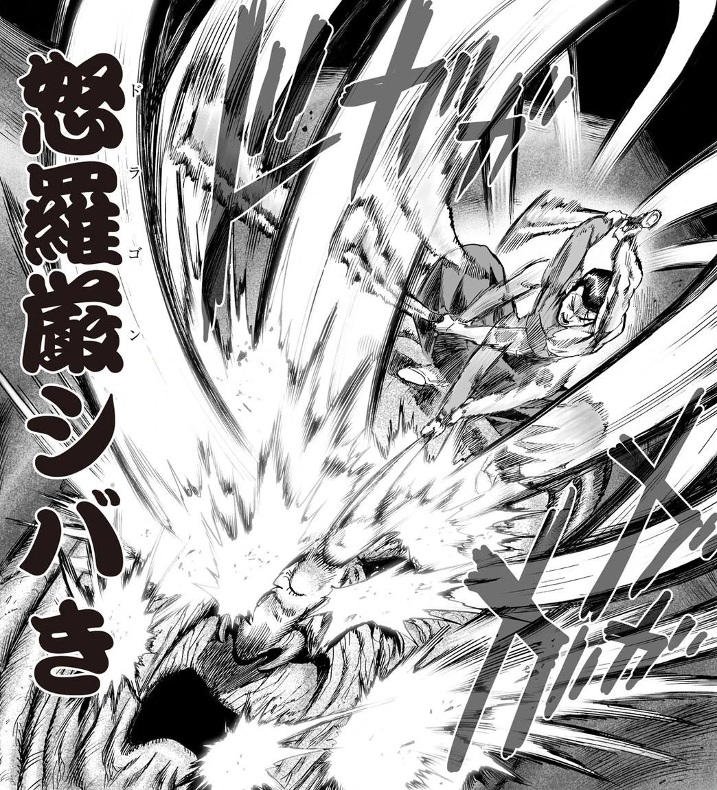 Dragon Thrashing | Ranma 1/2 Fanon Wiki | Fandom