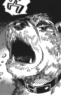 Scoop | Ran and the Grey World Wikia | Fandom