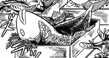 Fish | Ran and the Grey World Wikia | Fandom