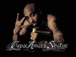 Tupac Shakur | Rap Wiki | Fandom