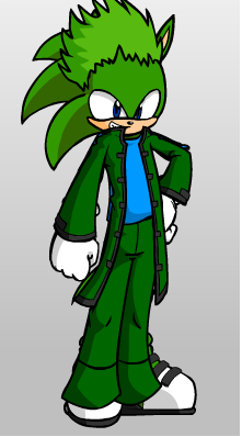 Rapid the Hedgehog | Rapid the hedgehog Wiki | Fandom