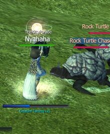 Pets Mechanics | Rappelz Wiki | Fandom