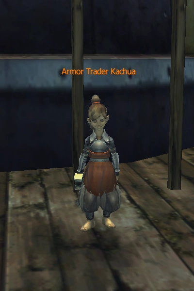 Armor Trader Kachua | Rappelz Wiki | Fandom