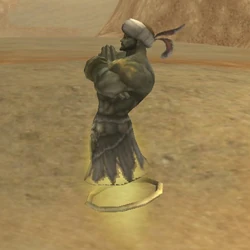 Shandia Defender | Rappelz Wiki | Fandom