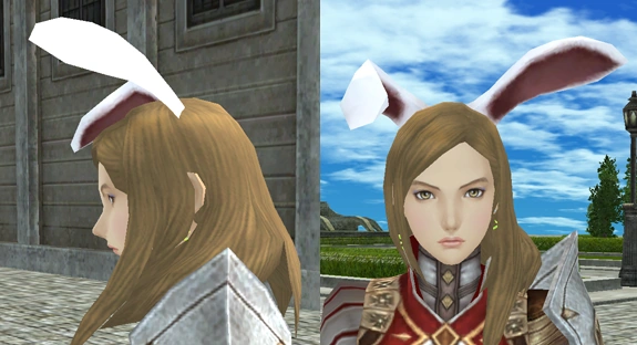 Rabbit ears | Rappelz Wiki | Fandom