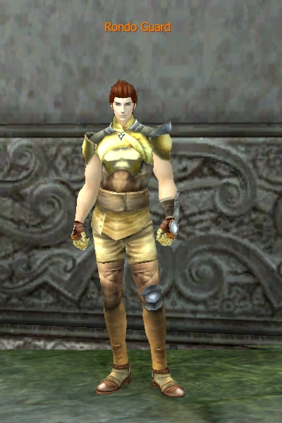 Rondo Guard | Rappelz Wiki | Fandom