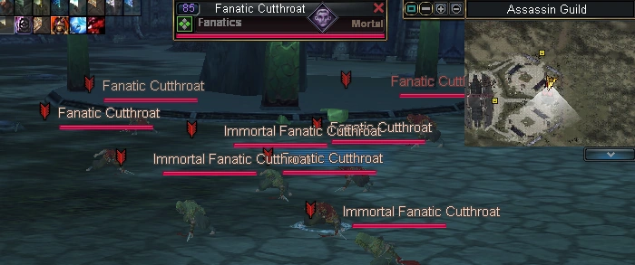 Subjugating the Assassin Guild Fanatics | Rappelz Wiki | Fandom