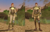 Bronze Armor | Rappelz Wiki | Fandom