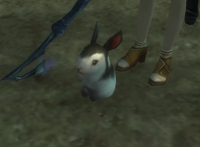 Cookie Moon Rabbit | Rappelz Wiki | Fandom