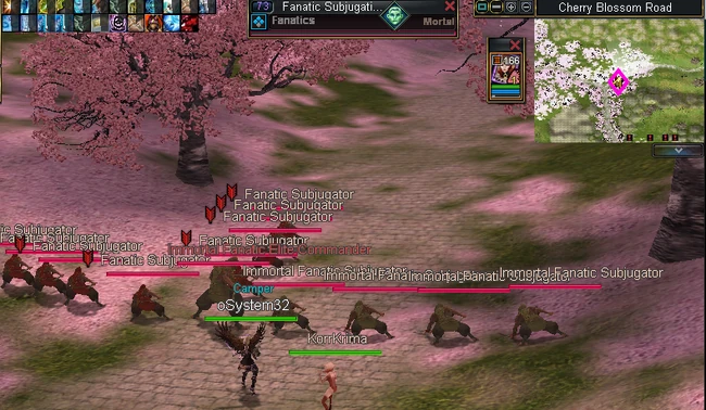 Fanatic Assassin: Rondo | Rappelz Wiki | Fandom