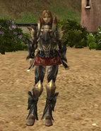Falcon Armor | Rappelz Wiki | Fandom