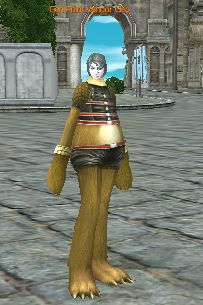 Gen Point Vendor Cleo (Rondo) | Rappelz Wiki | Fandom