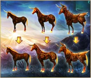 Enhanced Pets | Rappelz Wiki | Fandom