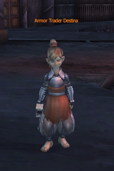 Armor Trader Destina | Rappelz Wiki | Fandom