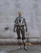 Wind Suit | Rappelz Wiki | Fandom