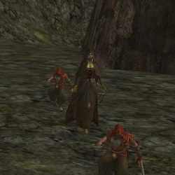 Witch | Rappelz Wiki | Fandom