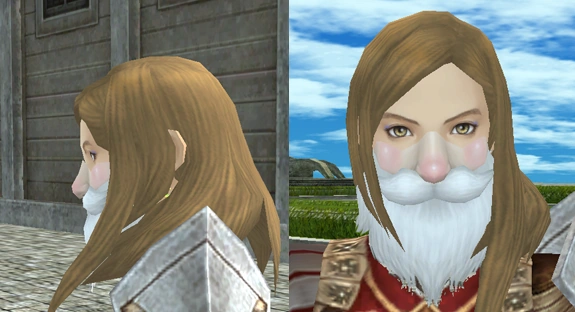 Santa Claus Beard | Rappelz Wiki | Fandom