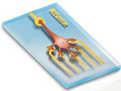 Jack McClendon | RaptureRebornMMORPG Wiki | Fandom