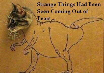 Strange Splicer Visions, Delusions And Stories | RaptureRebornMMORPG ...