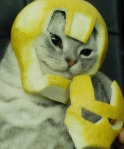 Splicers | RaptureRebornMMORPG Wiki | Fandom