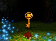 Boss Key | RareWiki | Fandom