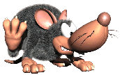 Neek | RareWiki | Fandom