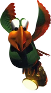 Squawks the Parrot | RareWiki | Fandom