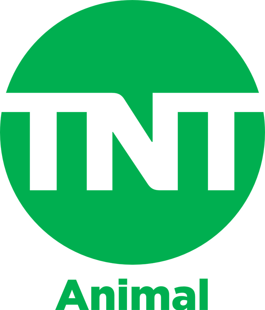TNT Animal (Latinoamerica) | Rarter Wiki | Fandom