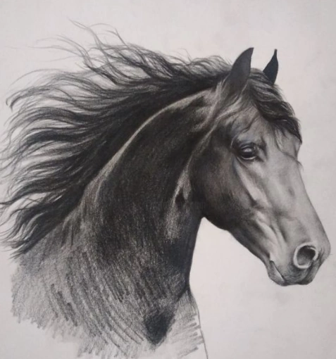 Boris the Horse | World of Rashka Wiki | Fandom