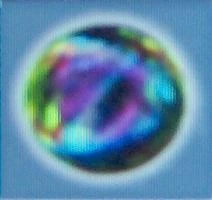 Asyanica | Ratchet & Clank Wiki | Fandom