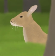 Western Rabican | Ratera Project Wiki | Fandom