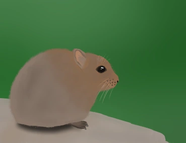 Gopa | Ratera Project Wiki | Fandom