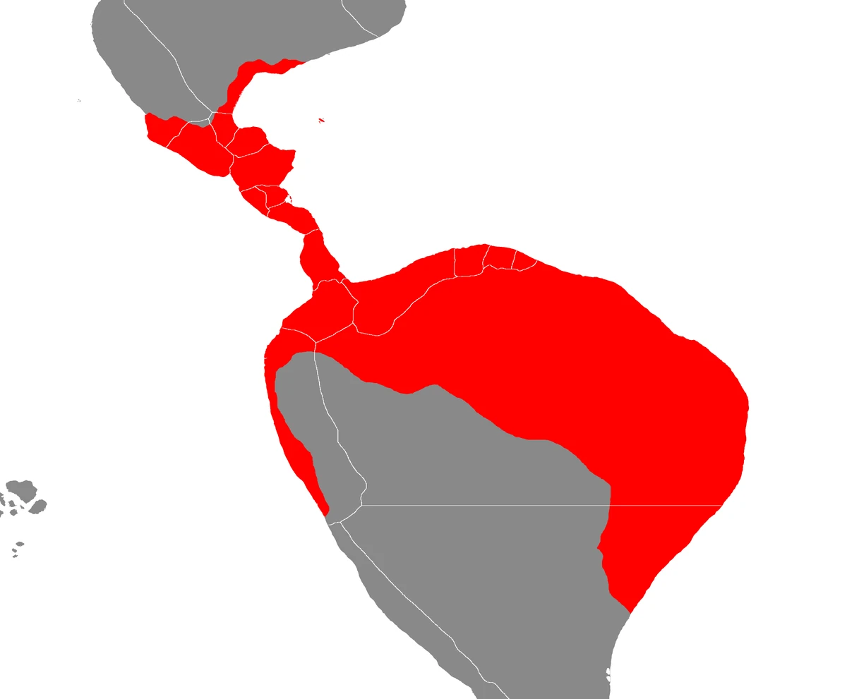 Luffa | Ratera Project Wiki | Fandom