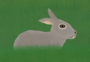 Poran Rabican | Ratera Project Wiki | Fandom