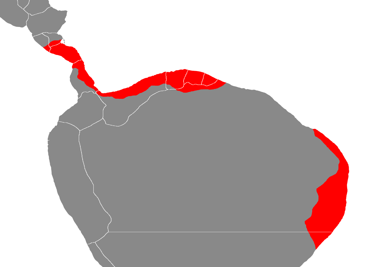 Crelbecundedron | Ratera Project Wiki | Fandom