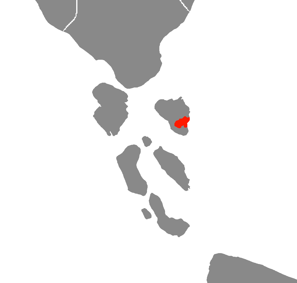 Pseudotedro lanagi | Ratera Project Wiki | Fandom