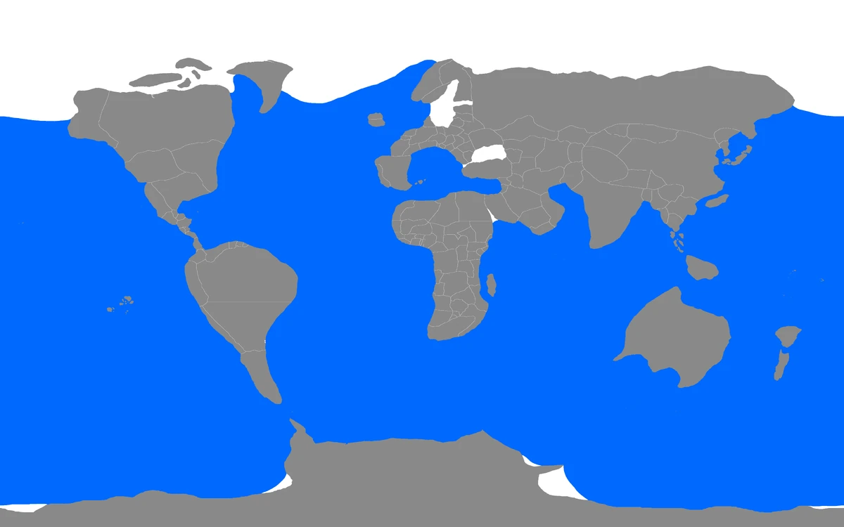 Handihort micim | Ratera Project Wiki | Fandom