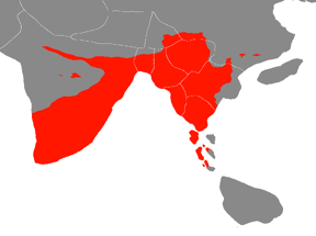 Prool | Ratera Project Wiki | Fandom