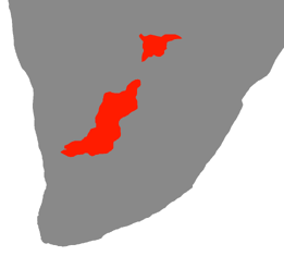 Turapi | Ratera Project Wiki | Fandom