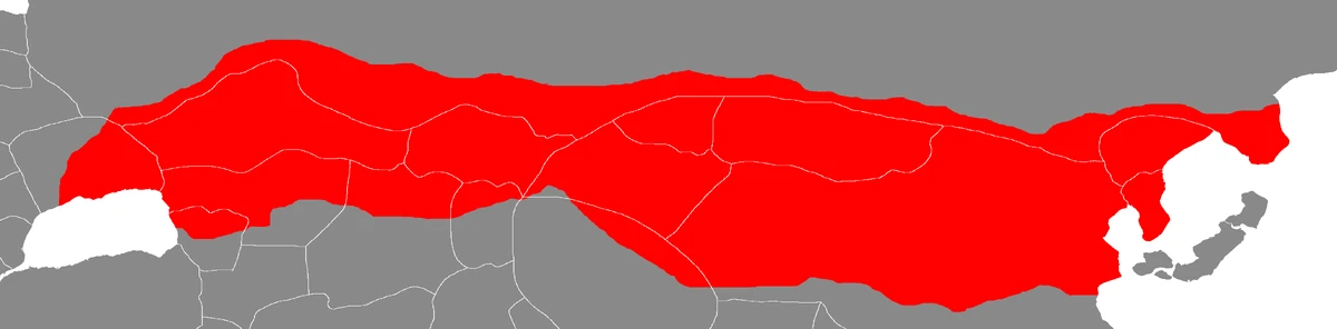 Tanisean Rabican | Ratera Project Wiki | Fandom