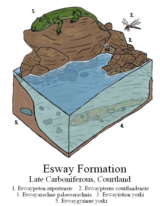 Esway Formation | Ratera Project Wiki | Fandom