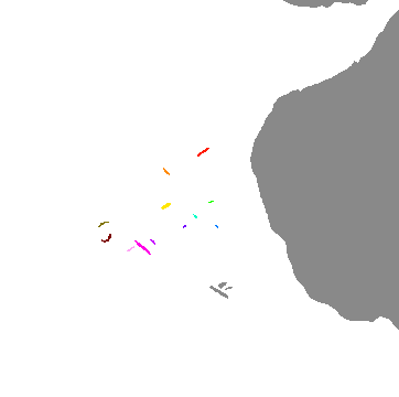 Eunesotedro | Ratera Project Wiki | Fandom