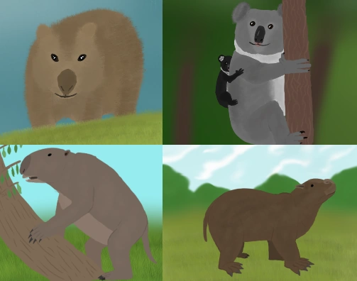 Kabiliformes | Ratera Project Wiki | Fandom