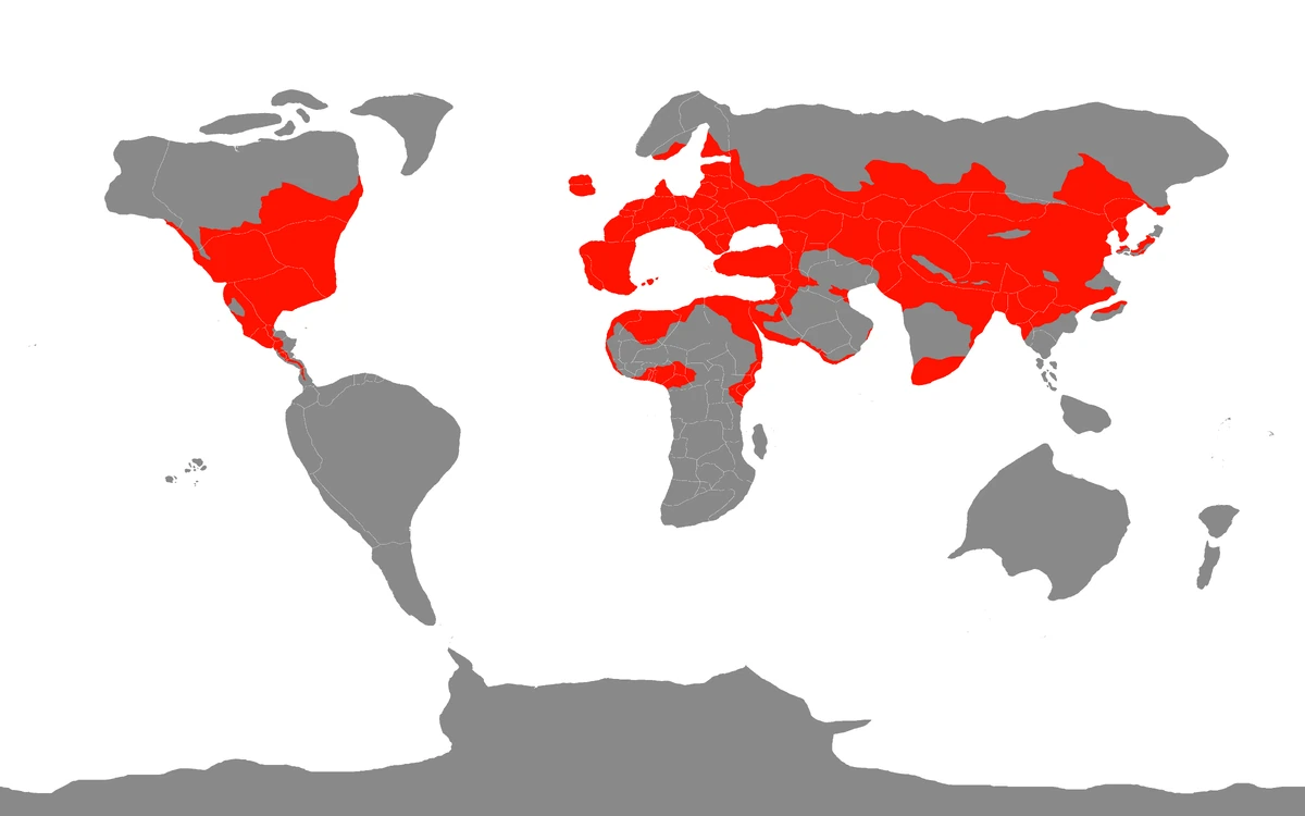 Delus | Ratera Project Wiki | Fandom