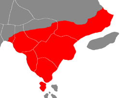 Rainforest Rabican | Ratera Project Wiki | Fandom