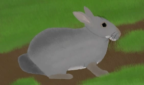 Rainforest Rabican | Ratera Project Wiki | Fandom