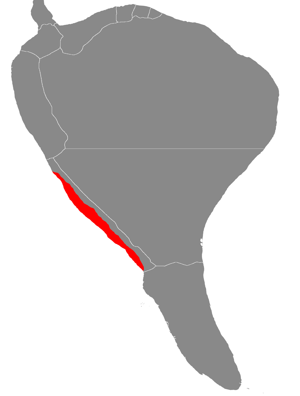 Intovan clipea | Ratera Project Wiki | Fandom