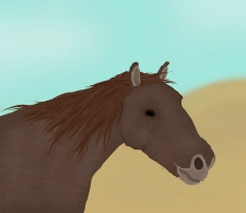 Domestic Skuda | Ratera Project Wiki | Fandom