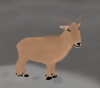 Red Sen | Ratera Project Wiki | Fandom