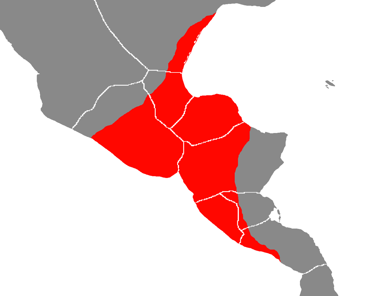 Northern verena | Ratera Project Wiki | Fandom